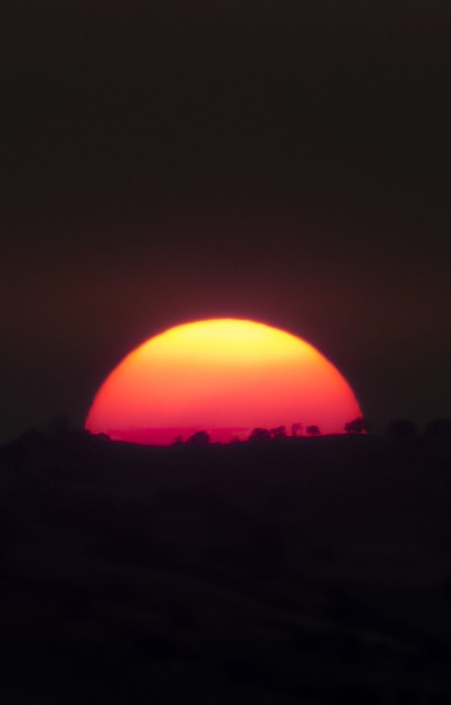 Jungle – Deep Sky Colors