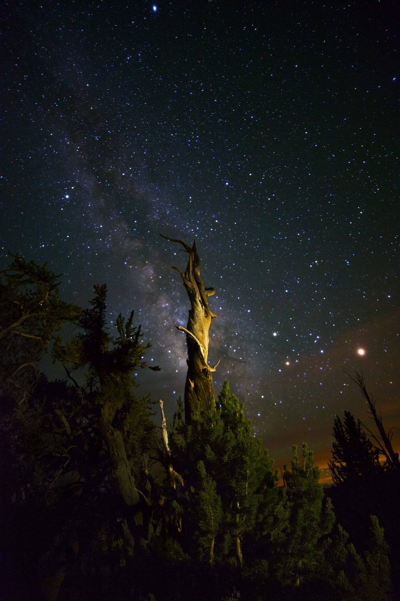 Statue – Deep Sky Colors