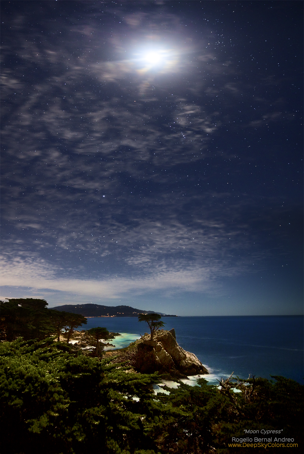 Moon Cypress – Deep Sky Colors