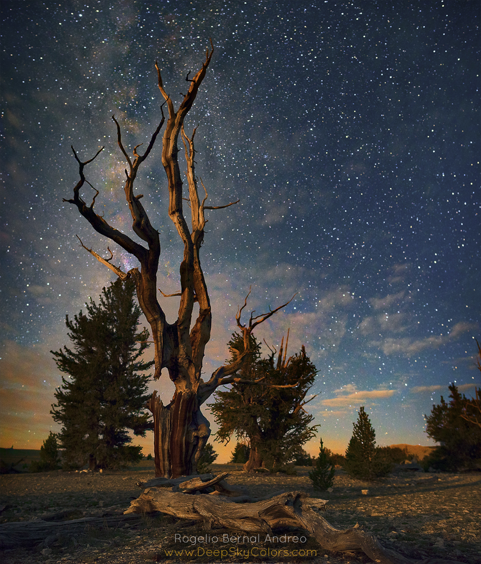 Seducemento – Deep Sky Colors