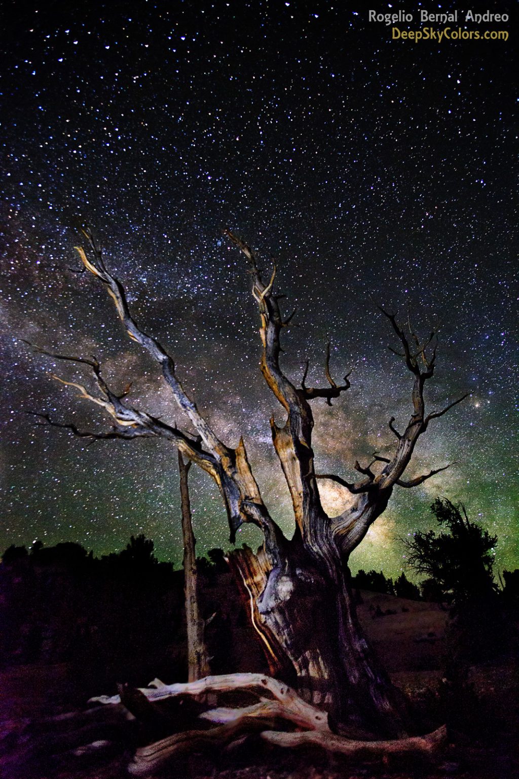 Still Standing – Deep Sky Colors